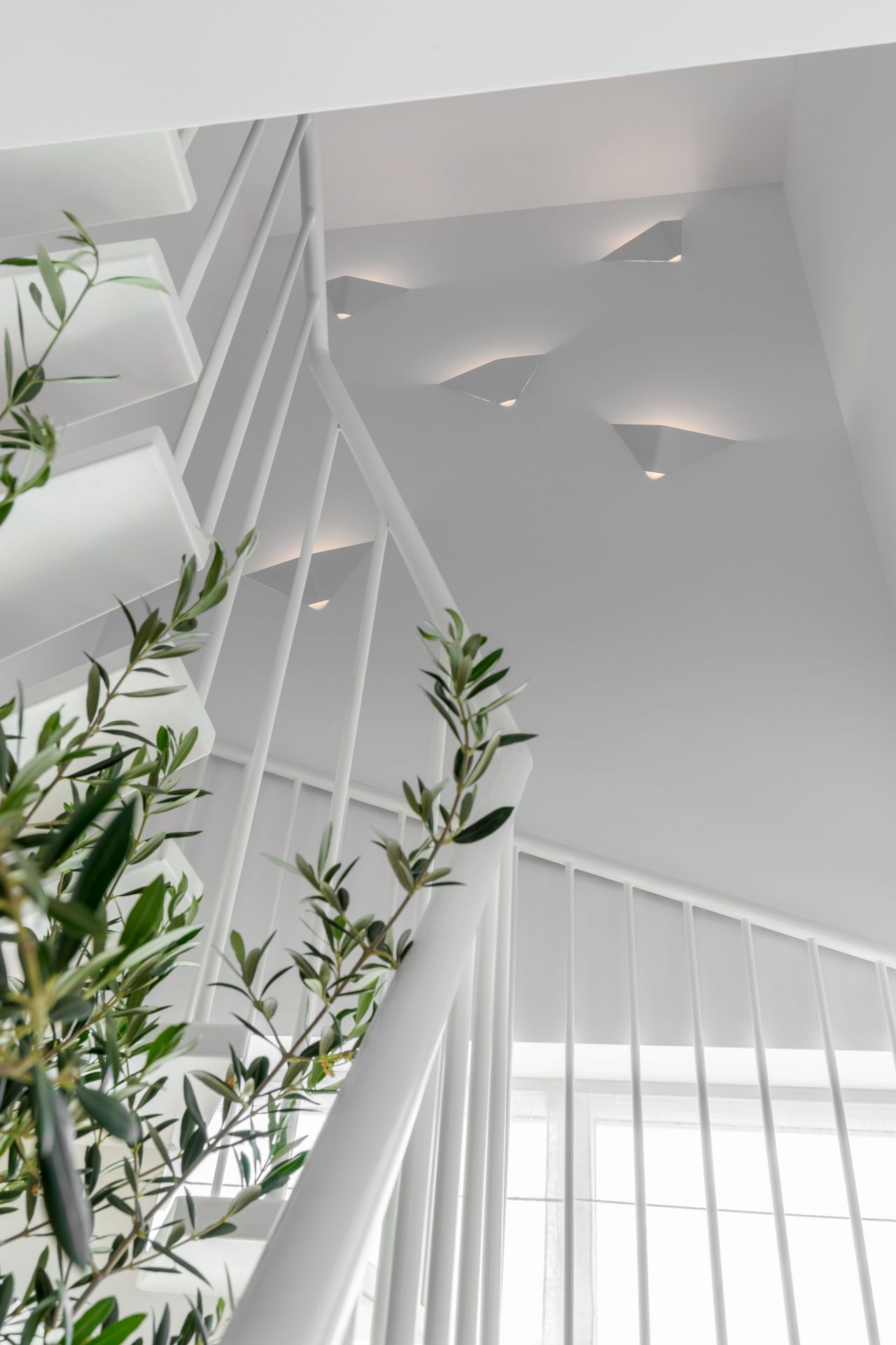 Timeless Shapes - RIDA - Design Interior